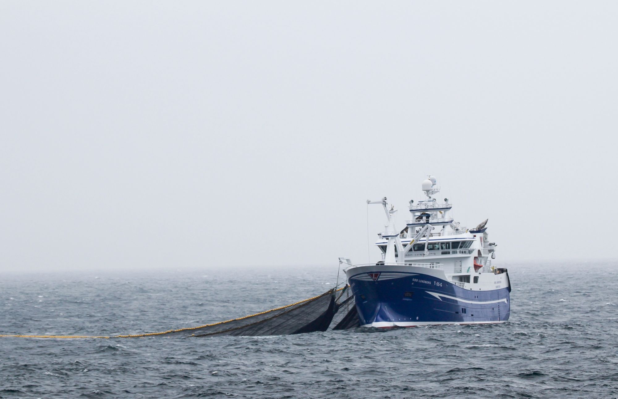 Fiskur.fo | Framvegis smáligur makrelfiskiskapur