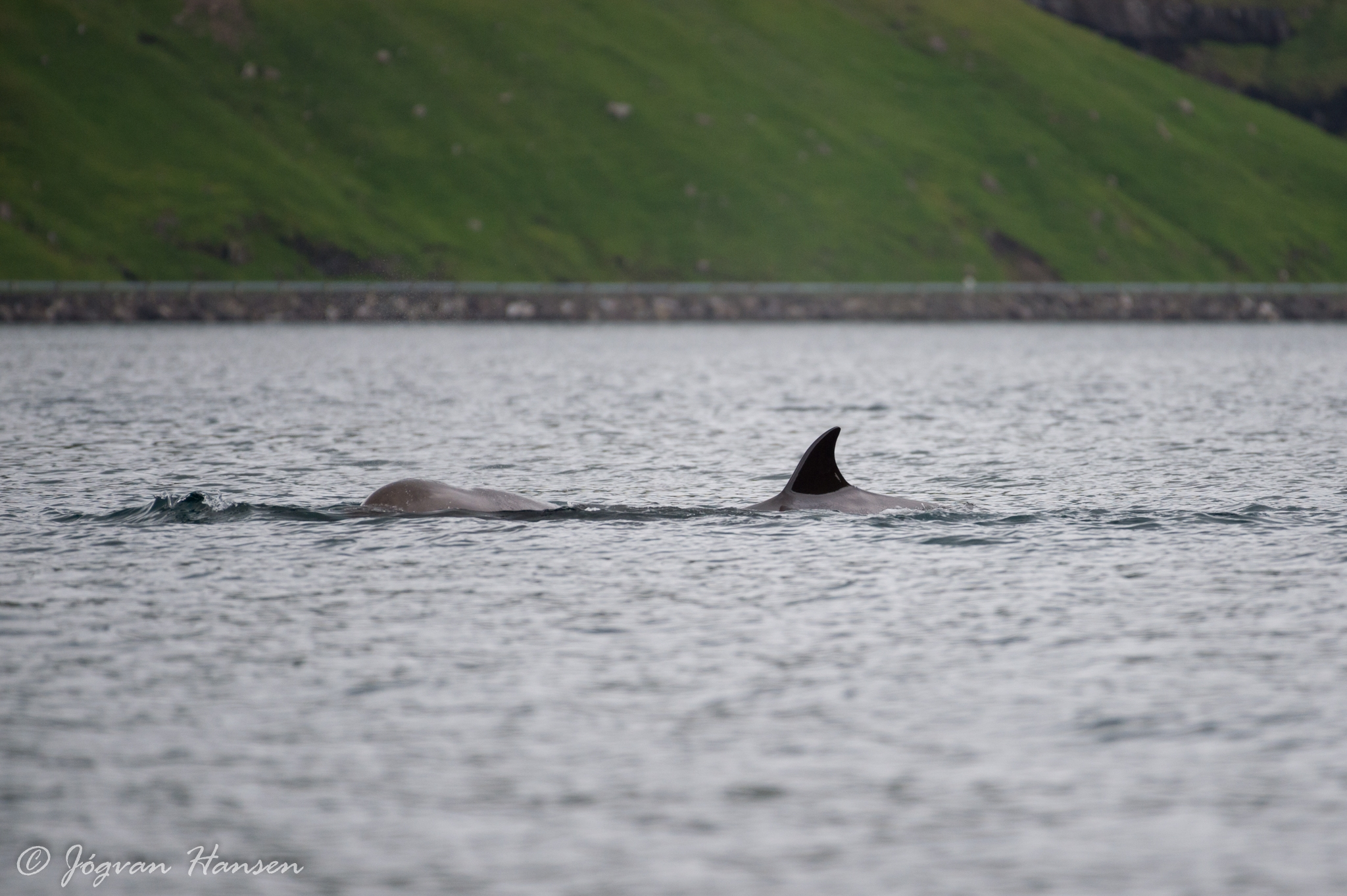 Dagur.fo | Myndir: Døglingar á Kaldbaksfirði