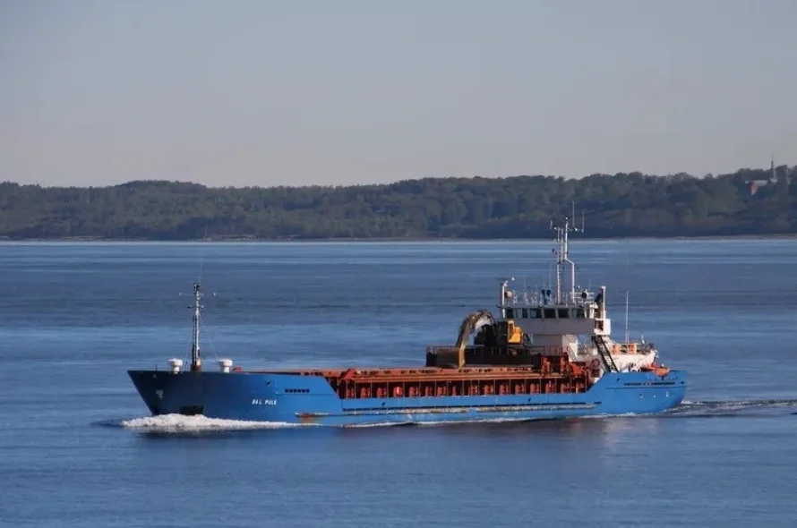 jn.fo | Jólaheilsan frá Bal Bulk