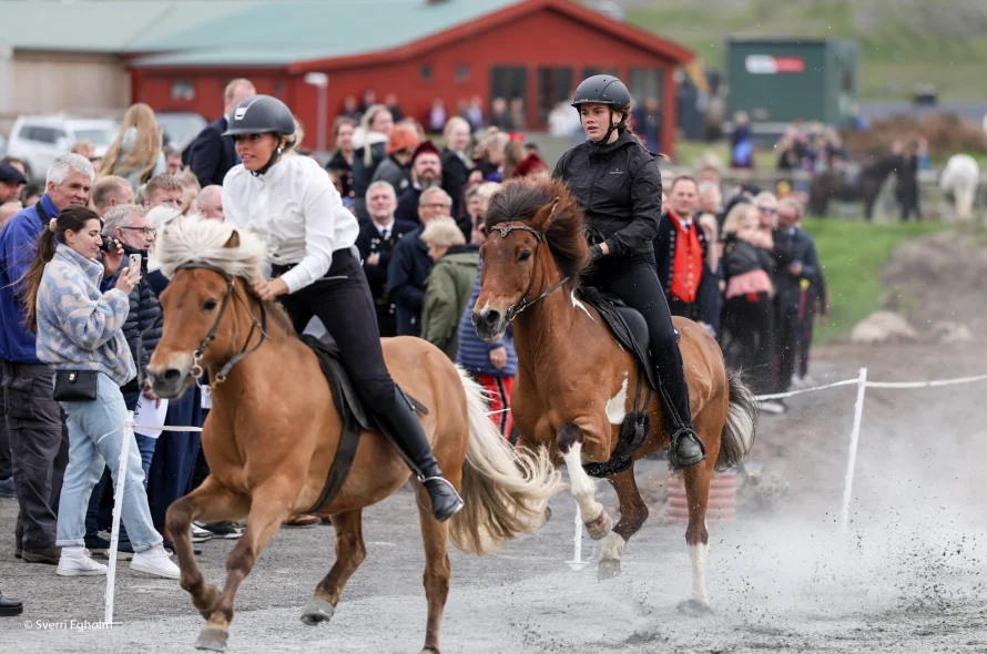 Roysni.fo | Myndir: Ólavsøkukappríðing í Havnardali
