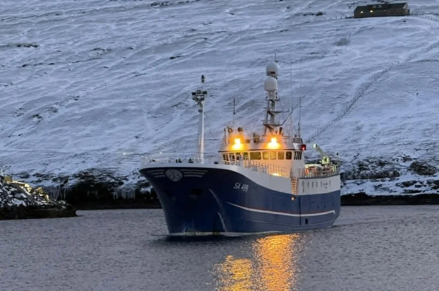 jn.fo | 495 tons av frystum fiski eru í dag boðin út á Fiskamarknaðinum